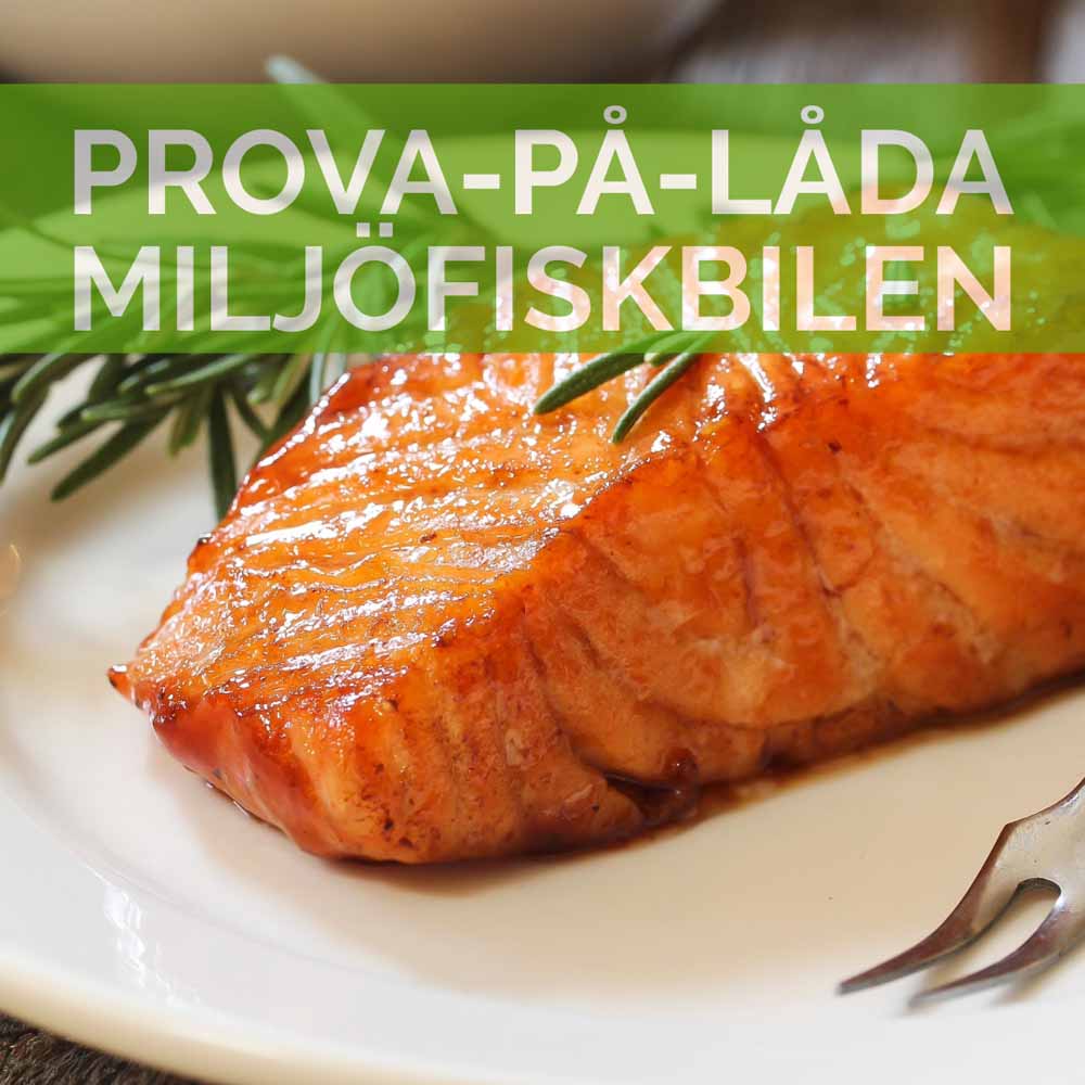 Miljömärkta fisk och skaldjur MSC ASC KRAV märkta – Miljöfiskbilen